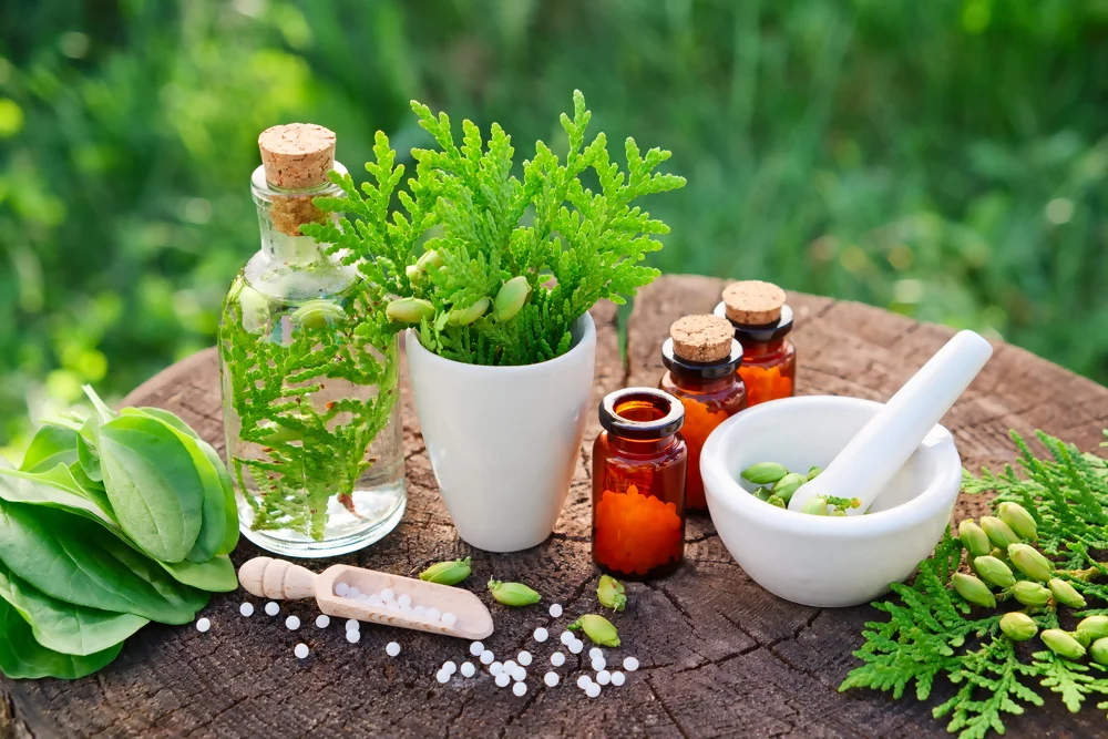 Homeopathy, Natural and Holistic • Homeopath in Georgetown Natural ...